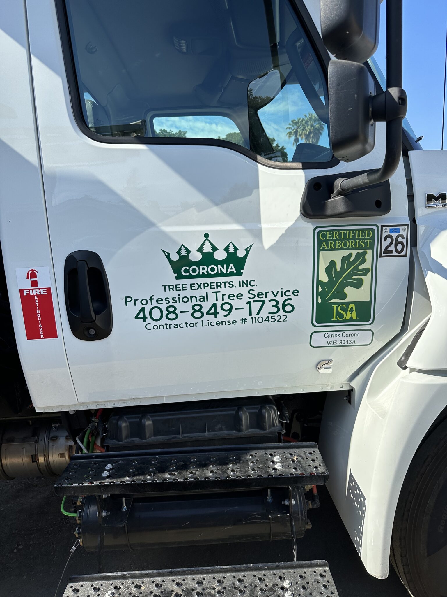Corona Tree Experts Inc | Tree Service Near Me