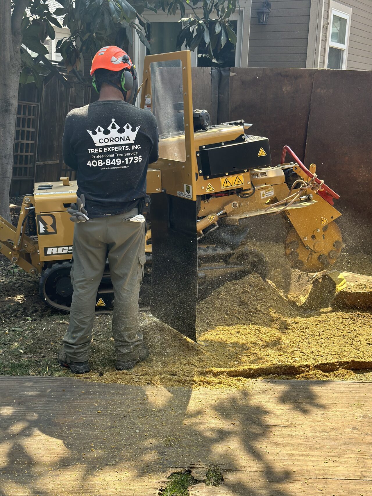 Corona Tree Experts Inc | Tree Service Near Me